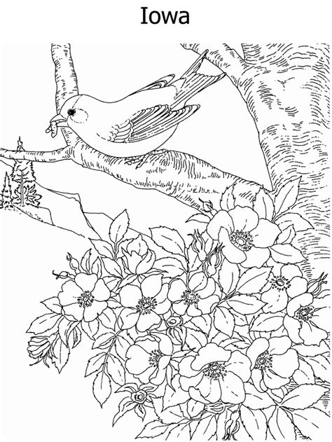 Image result for Geography Coloring Pages