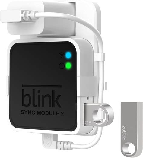 Image result for Blink Sync Module USB Storage