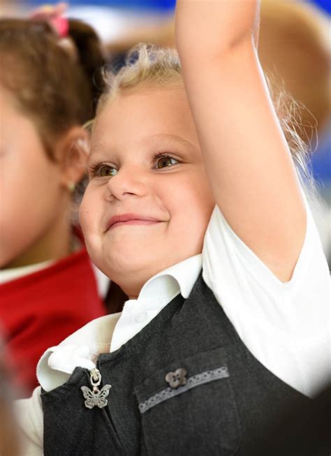 Image result for Springfield Primary School