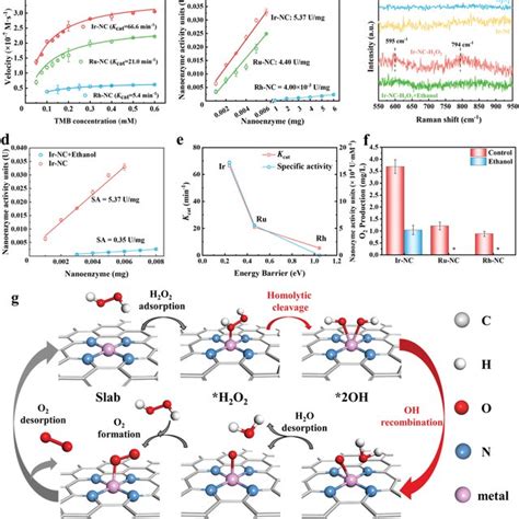 Image result for H2O2 Decomposition Reaction Mechanism