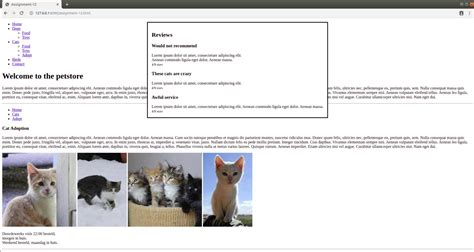 Image result for HTML Box with Words