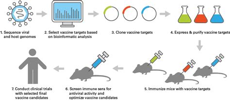 Image result for Creating Vaccines
