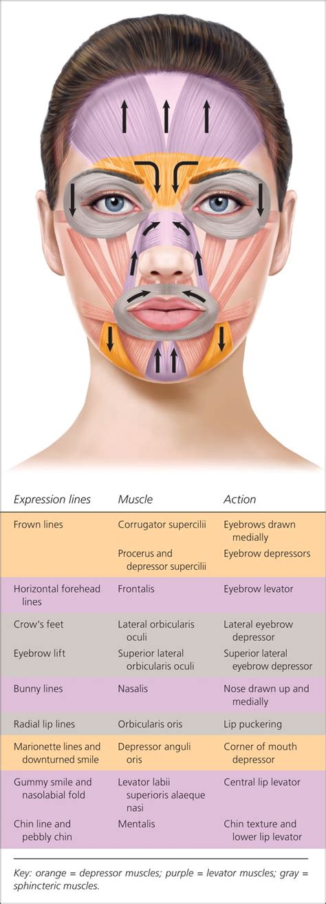 Image result for Botox Injection Face Chart