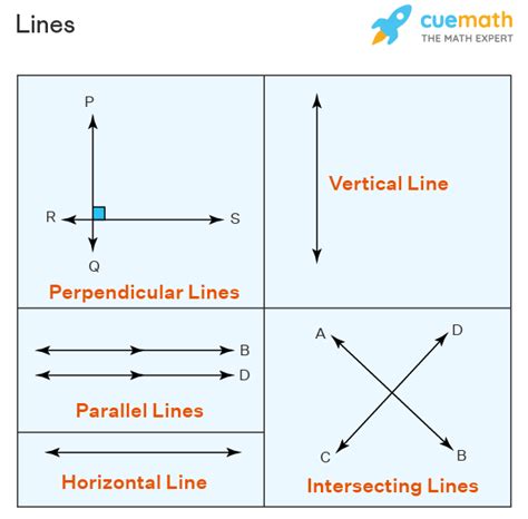 Image result for Segment Bisector Real Life Example
