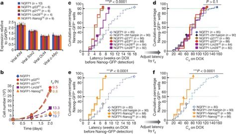 Image result for Gene Editing Direct Reprogramming