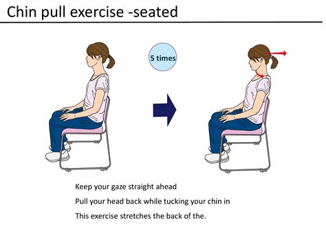 Image result for Trunk Bender Exercise