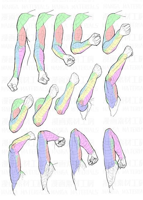 Image result for Arm Drawing Tutorial