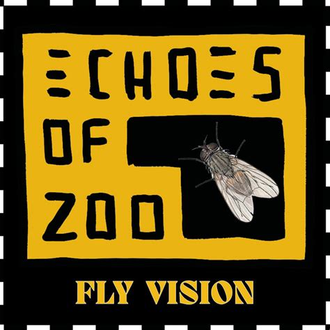 Image result for fly vision evolution