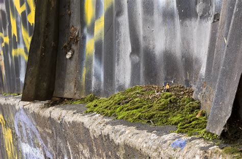 Image result for Mini Sub Found