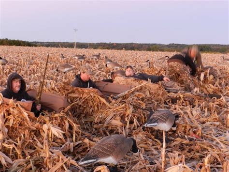 Image result for Goose Hunts