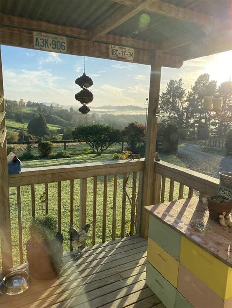 Image result for View From Our Window