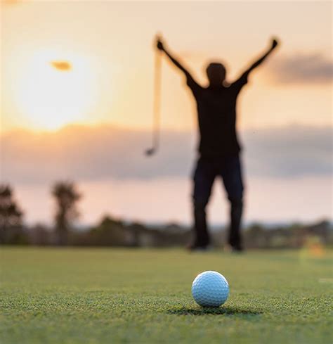 Image result for Chipping and Pitching Lessons