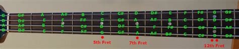 Image result for Bass Notes All Types