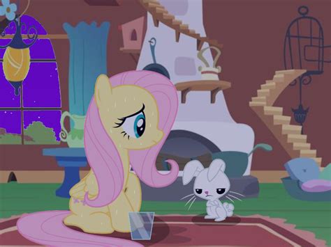 Image result for MLP Transformation