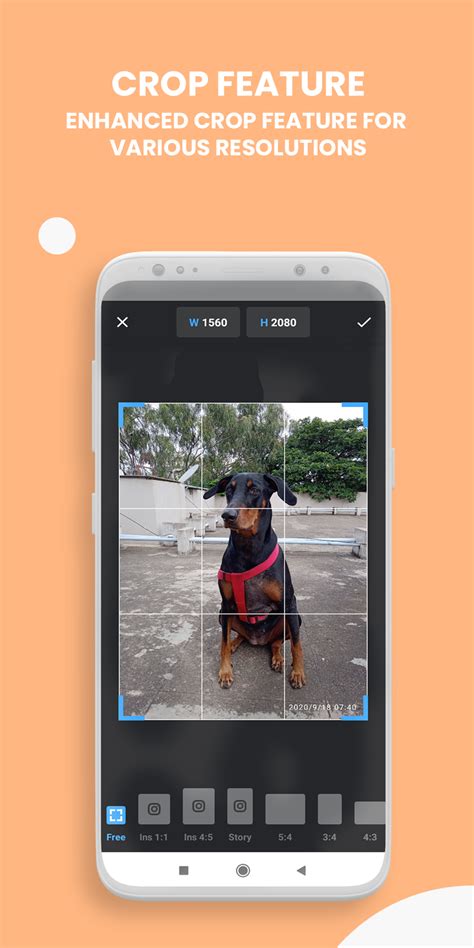 Image result for How to Add Text Editing to Android