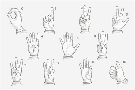 Image result for German Sign Language Numbers Human Hand