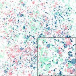 Image result for Splatter Pattern
