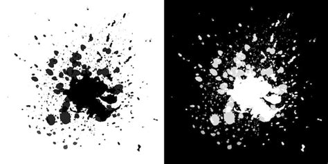 Premium Vector | Splash of black and white paint in vector