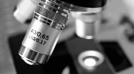 Image result for Axonic AmFirst