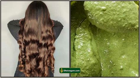 Image result for VIP Shampoo Video in Tamil Using Method