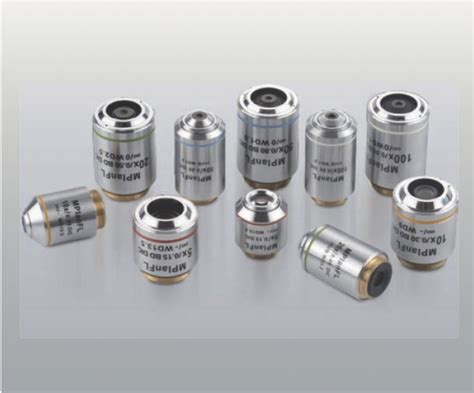 Image result for Objective Lens Magnification