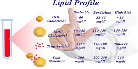 Image result for Lipid Profile Testing