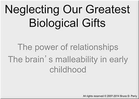 Image result for Bruce Perry Brain Development