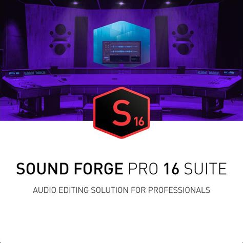Image result for Sound Forge 16 Window