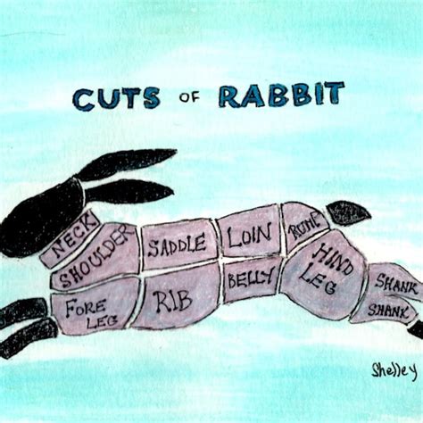 Image result for Rabbit Hopper Popper How to Use