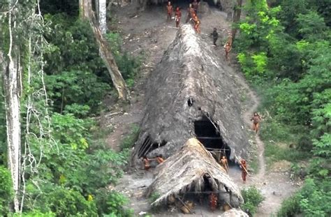 Image result for Amazon Forest Humans