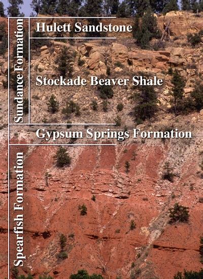 Image result for Devils Tower Tree Stump