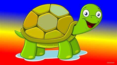 Image result for Turtle Cartoon