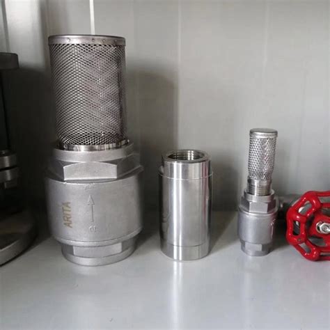 Image result for Pitcher Pump Check Valve