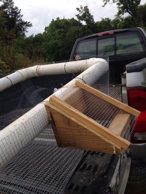 Image result for How to Build a Turtle Trap