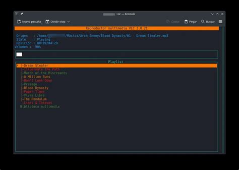 Image result for VLC Interface