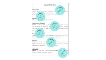 Image result for Lab Report Structure