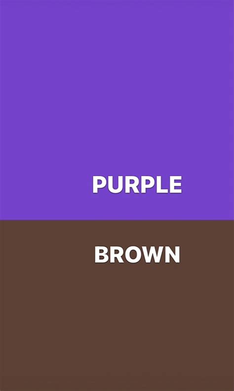Image result for Purple Color Complement
