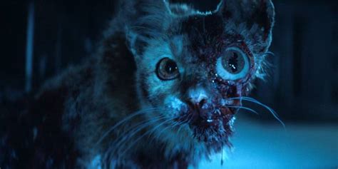 Image result for Alien Earth Cat