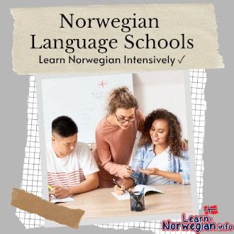 Image result for Norwegian Language Course
