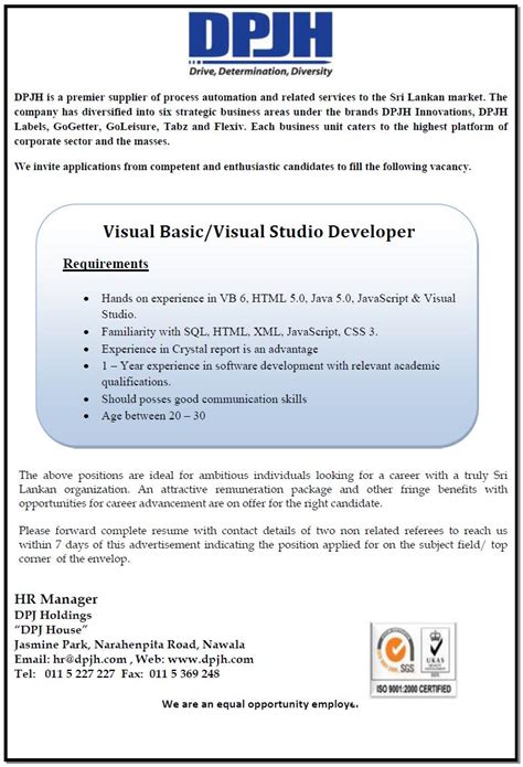 Image result for Visual Basic Developer
