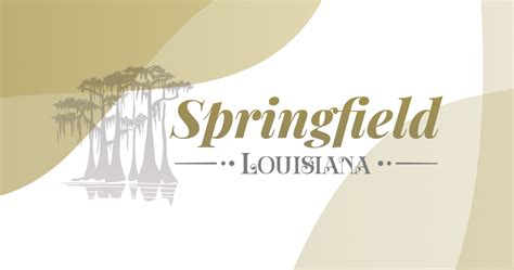 Image result for Springfield Liberty County Logo