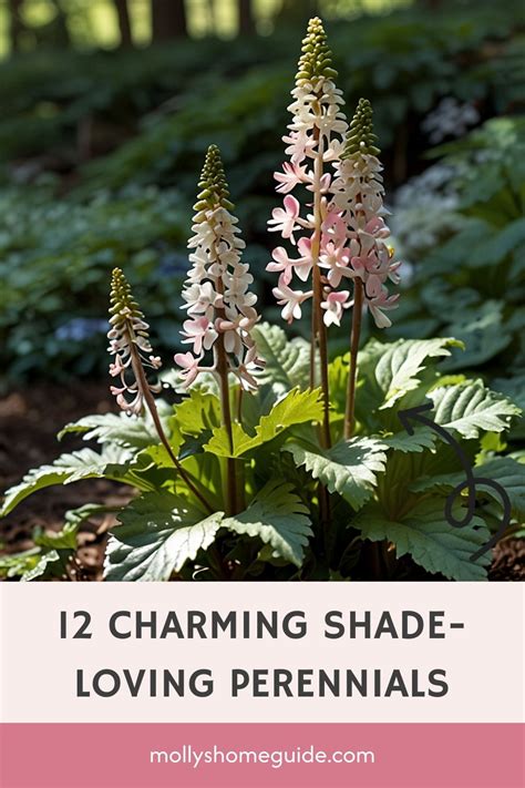 Image result for Shade Loving Perennials