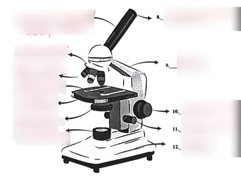 Image result for Microscope Label Diagram