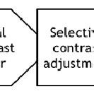 Image result for Image Processing Levels Algorithm Equation