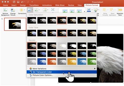 Image result for Set Transparent Color PowerPoint