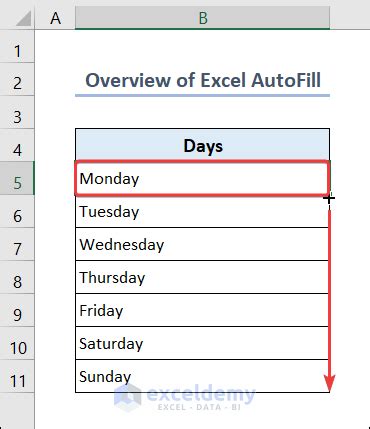 Image result for How to Use AutoFill in Excel