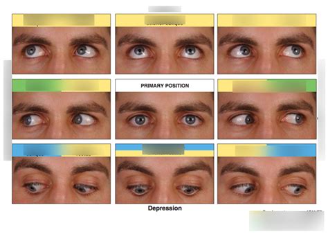 Image result for Eye Movements Test