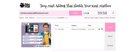 Image result for Guerrilla Mail Features