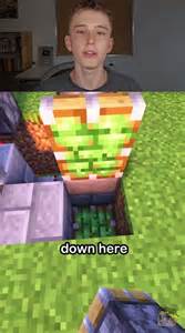 Image result for Minecraft Java Block Swapper