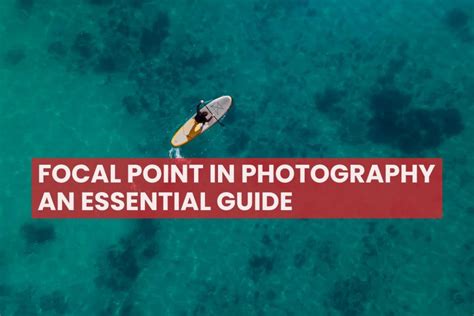 Image result for Focal Point Photography Examples